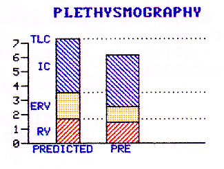 Lung Compartments
