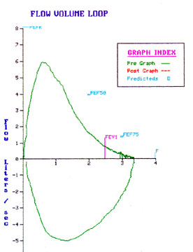 Interpreting Pulmonary Function Test