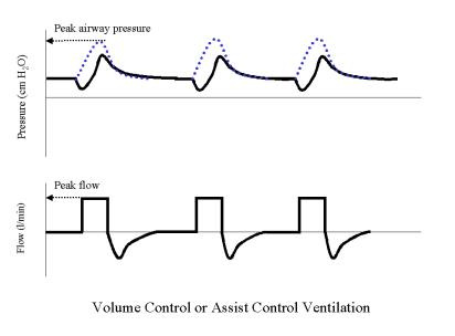 Slide 16