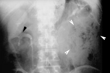 New Page 1 [www.lumen.luc.edu]