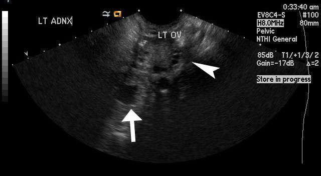 Untitled Document [www.lumen.luc.edu]