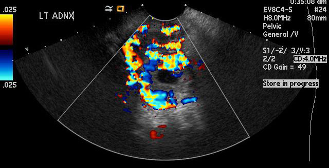 Untitled Document [www.lumen.luc.edu]