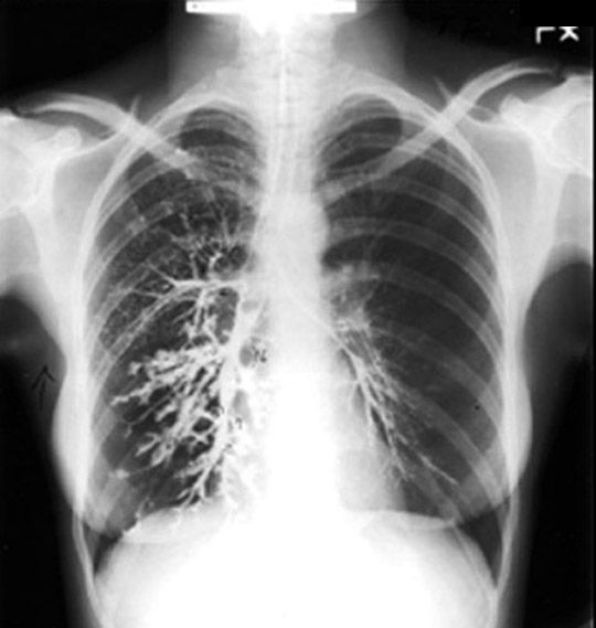 Try to identify the following