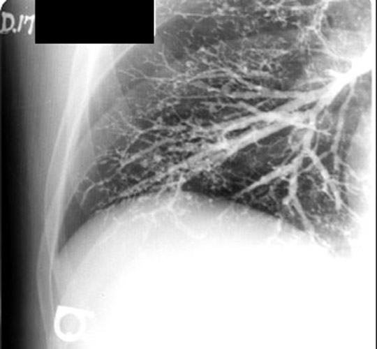 Try to identify the following